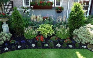 Houston Backyard Landscape Designer - Yard Drain Installers | French ...